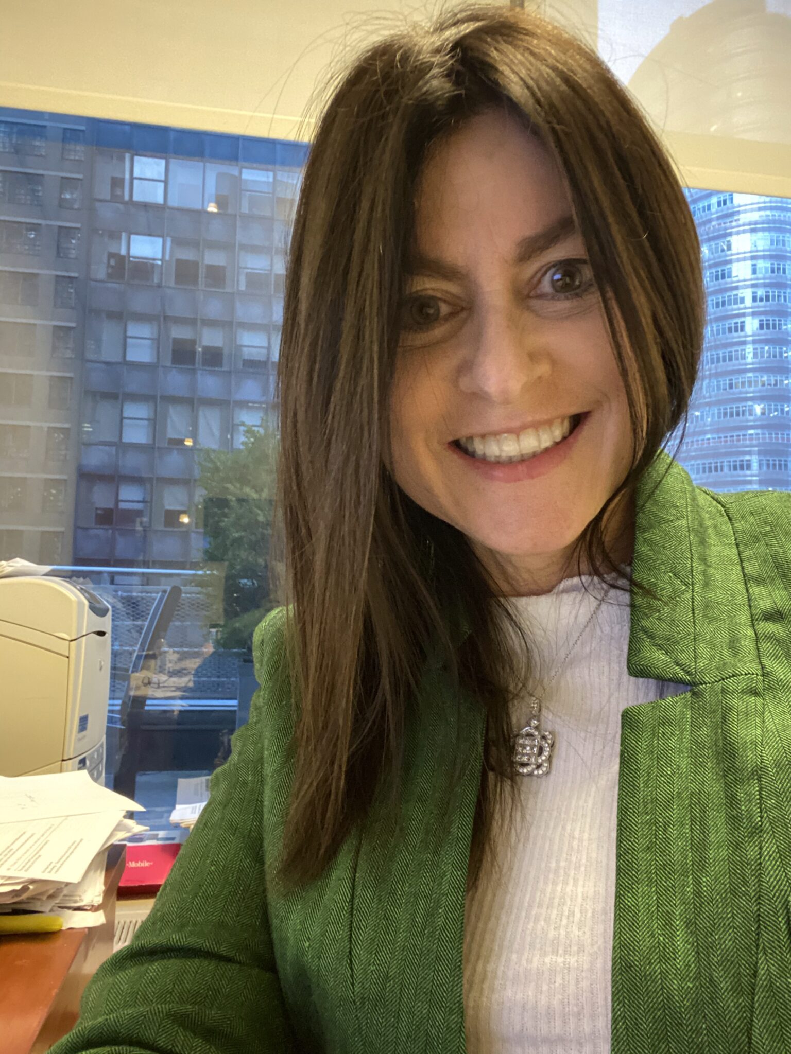 Hesai Group - Kaplan Fox